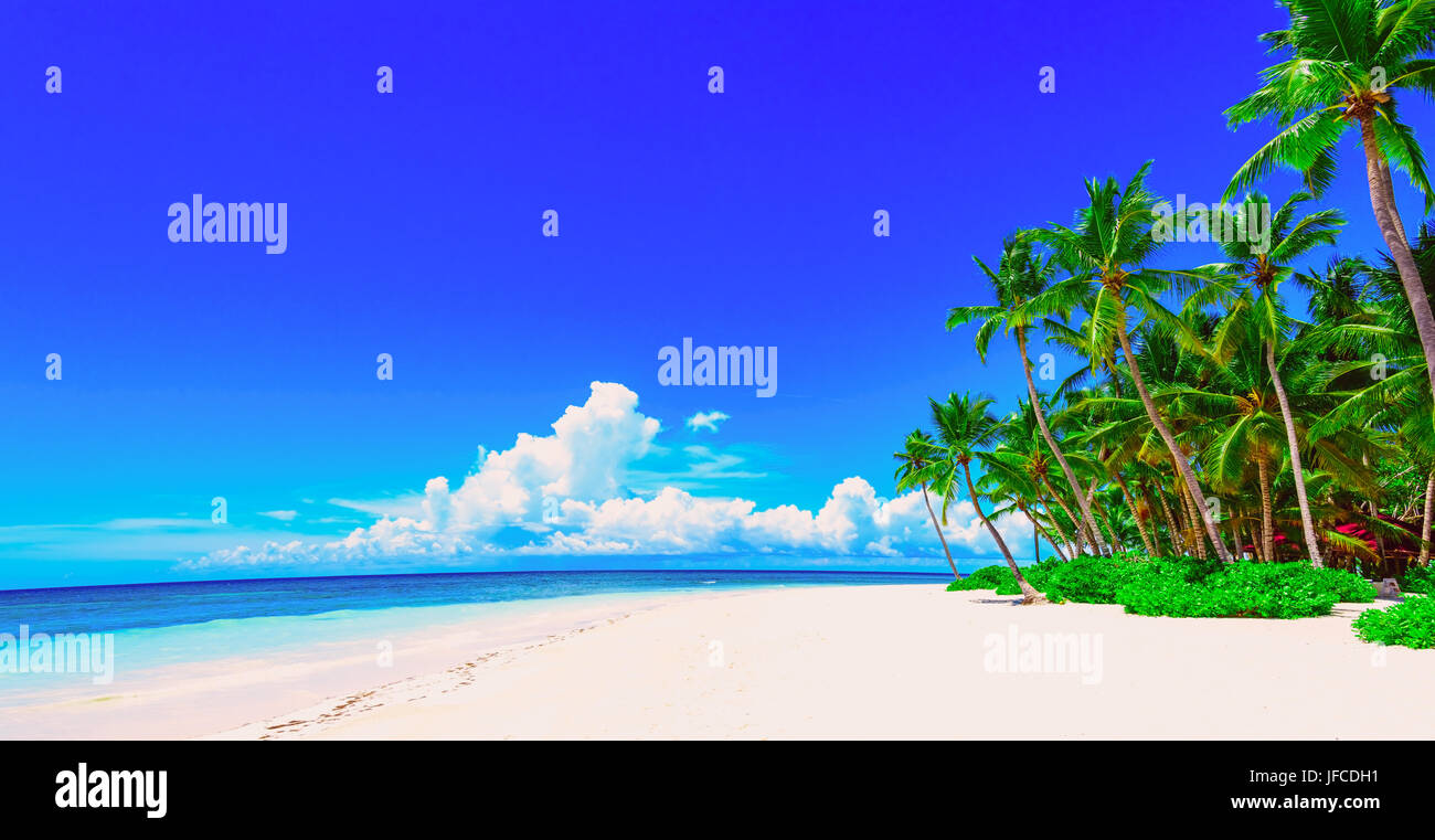 Sun and tree hi-res stock photography and images - Alamy