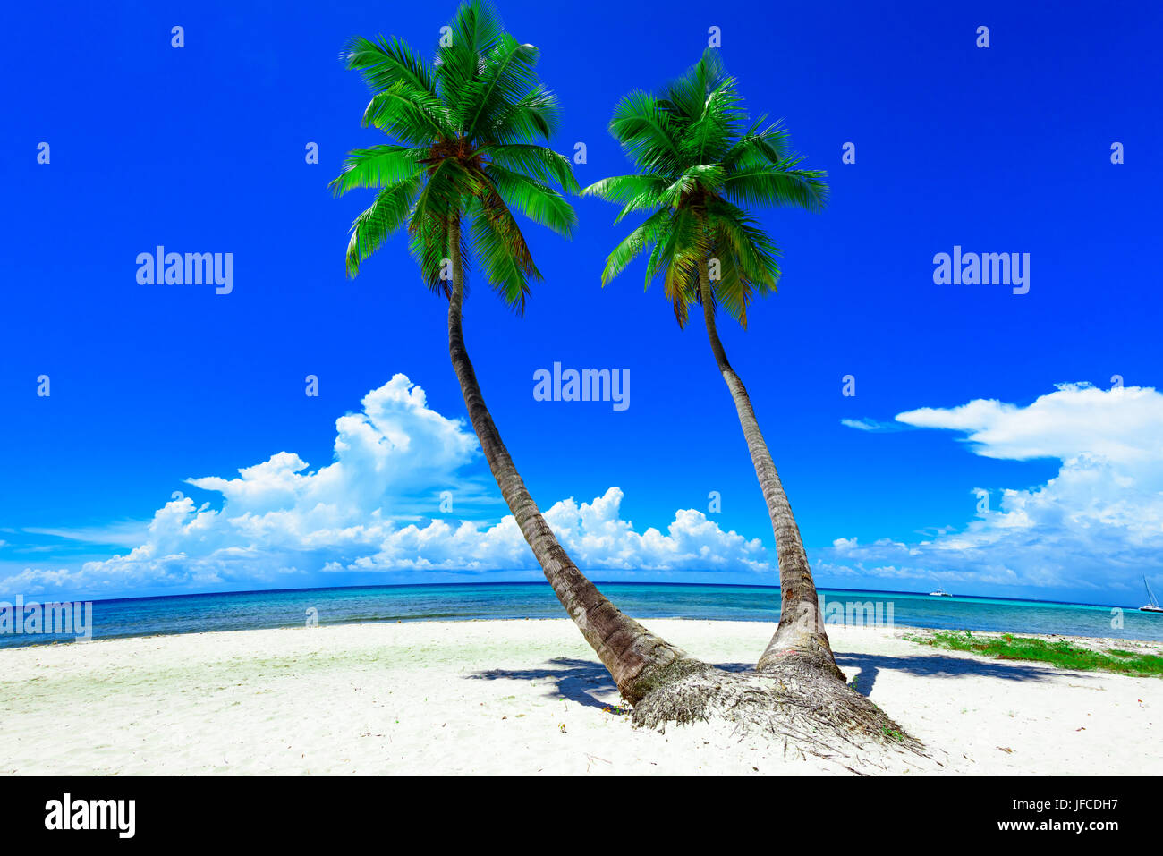 sea sky sun tree Stock Photo - Alamy