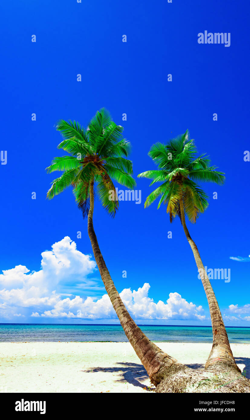 Sky water sun tree hi-res stock photography and images - Alamy