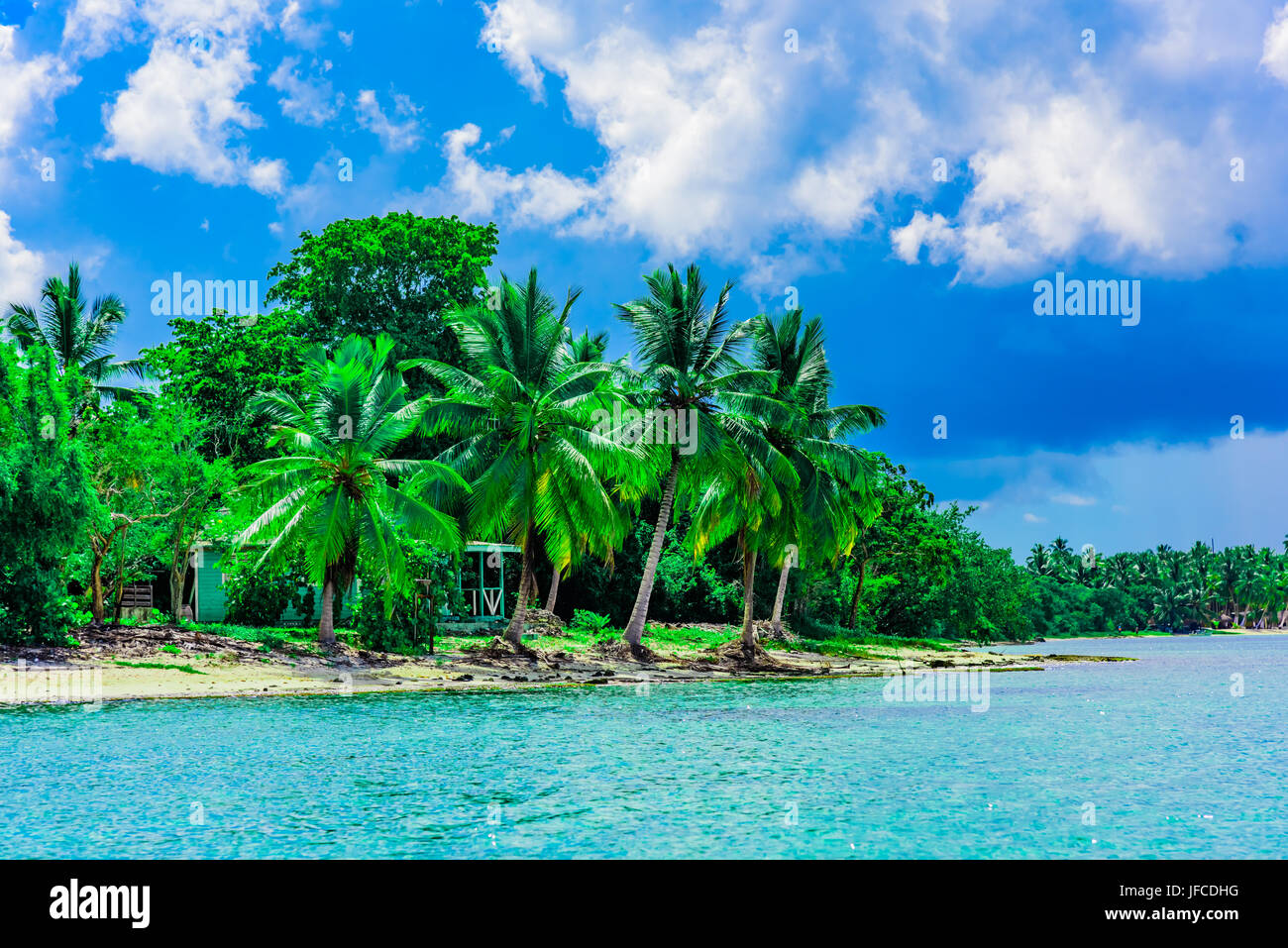 sea sky sun tree Stock Photo - Alamy