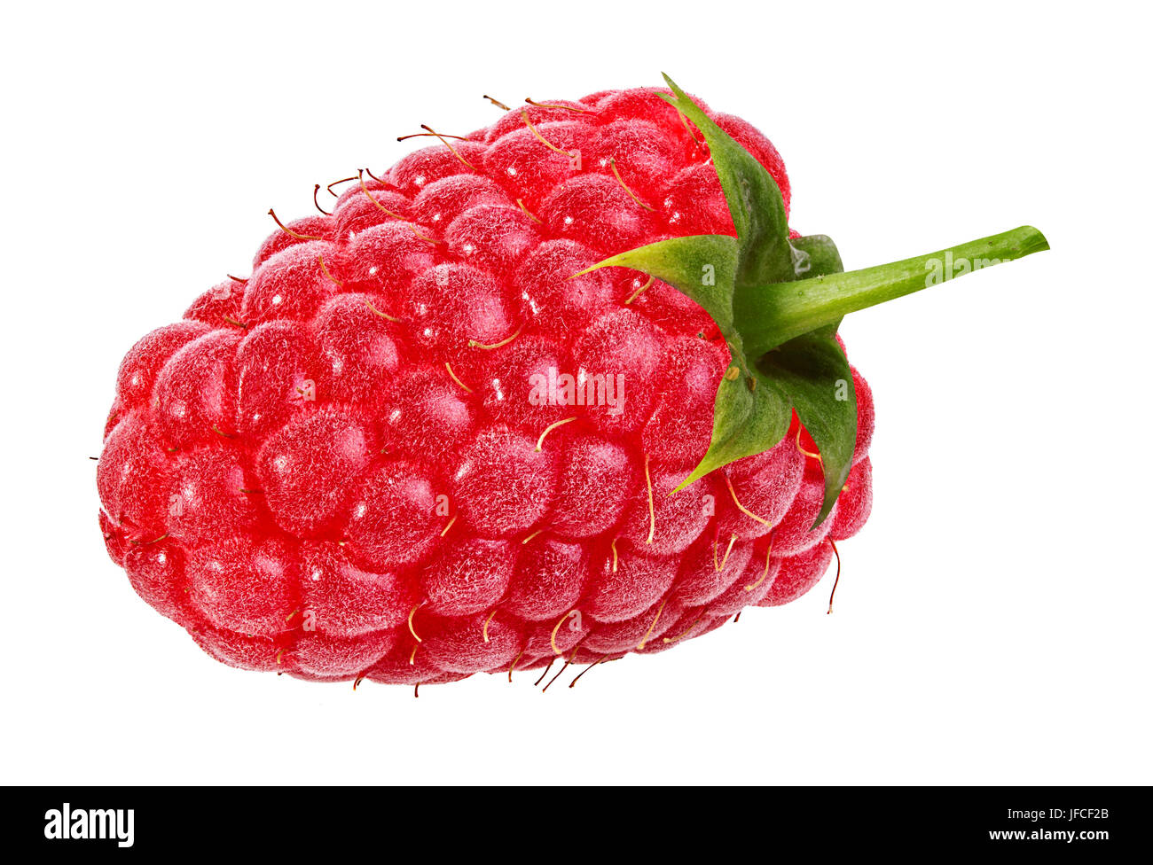 Raspberry isolated on white background Stock Photo - Alamy