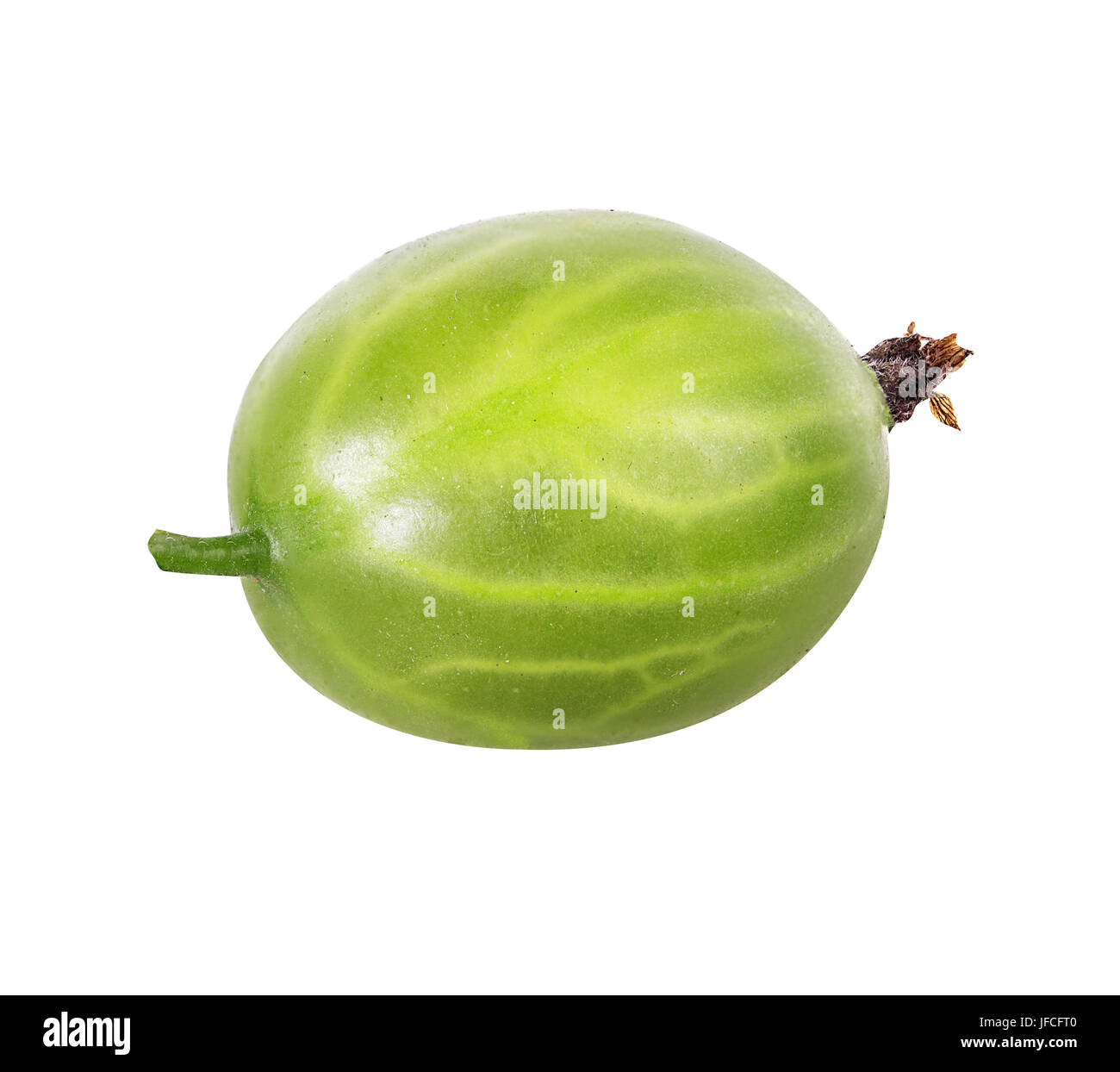 Gooseberry isolated on white background Stock Photo - Alamy