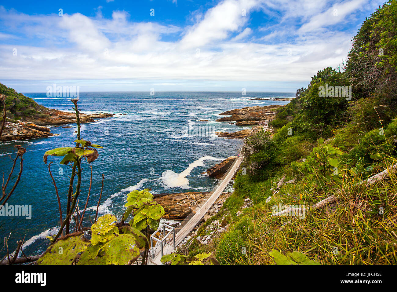 Tsitsikamma National Park South Africa Stock Photo - Alamy