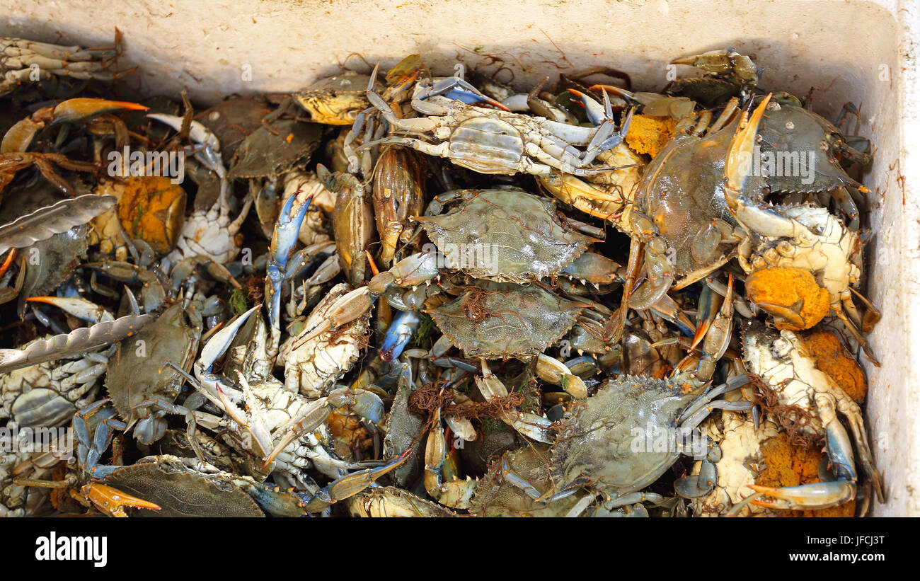 Crab crate hi-res stock photography and images - Alamy