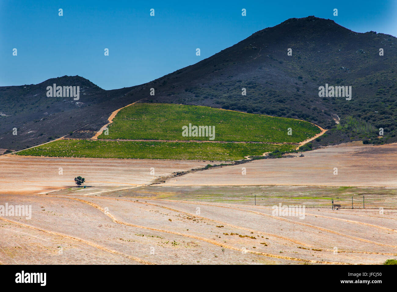 Gauteng landscape hi-res stock photography and images - Alamy