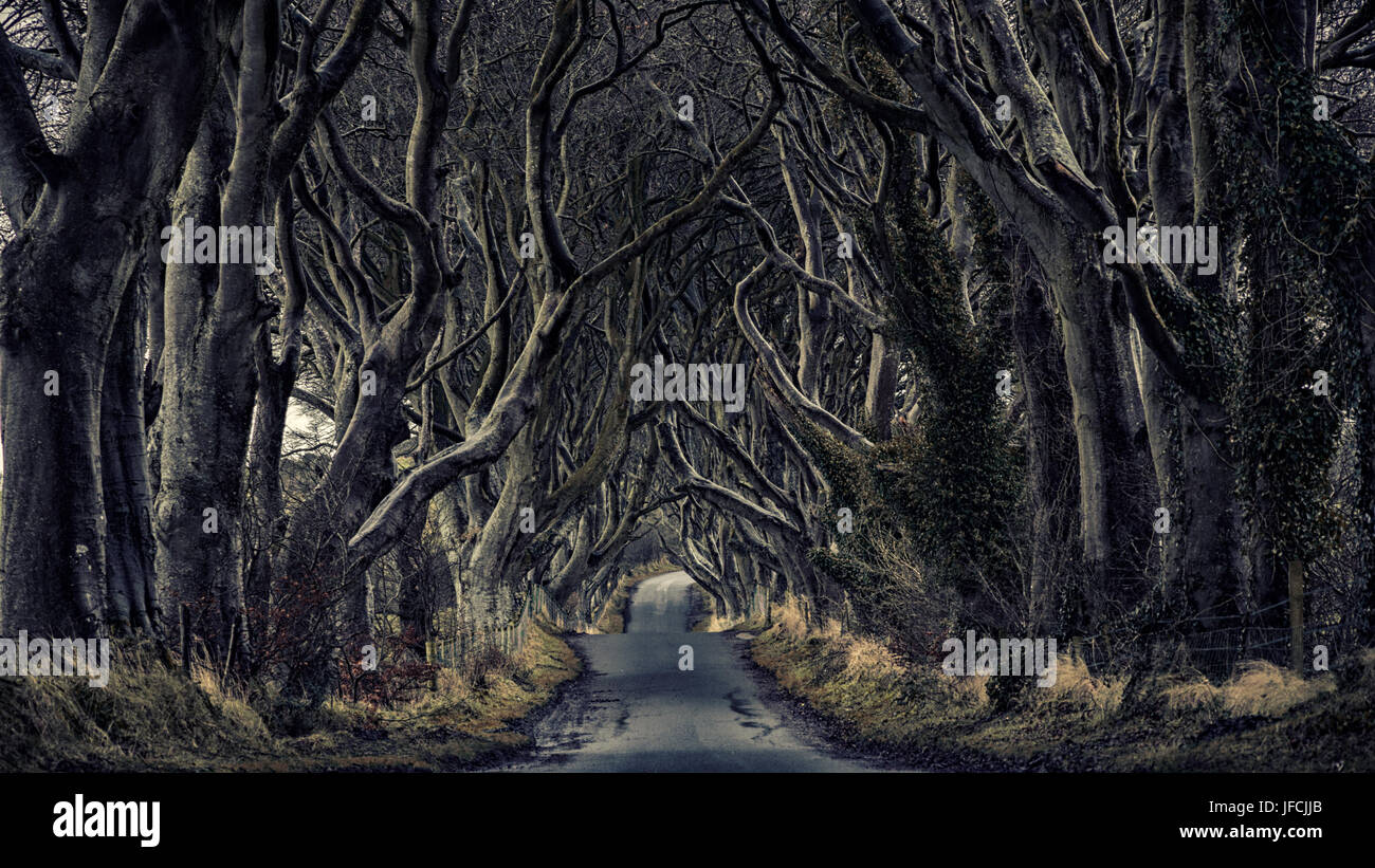 Pathway to darkness game hi-res stock photography and images - Alamy