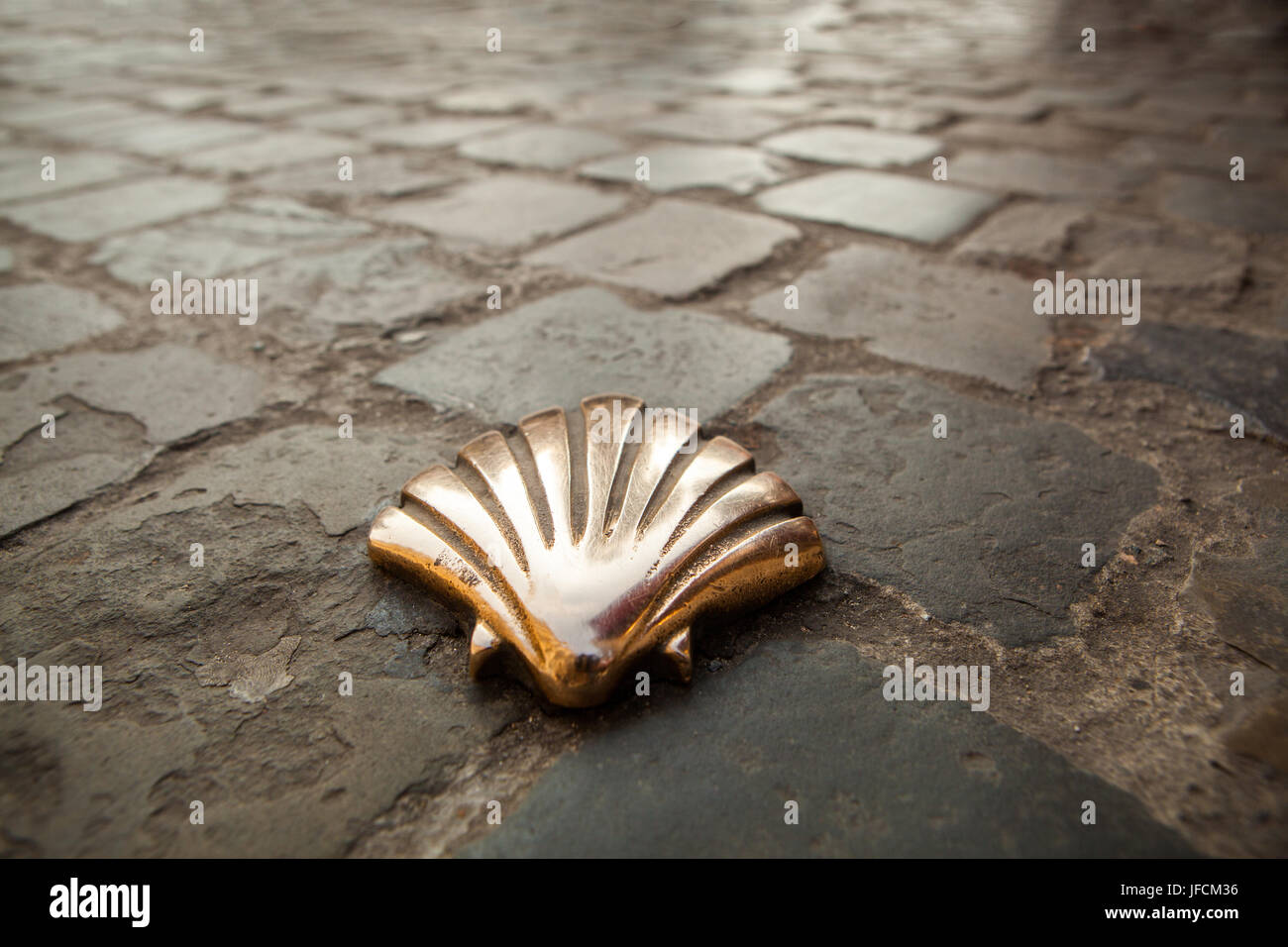St james shell in hi-res stock photography and images - Alamy