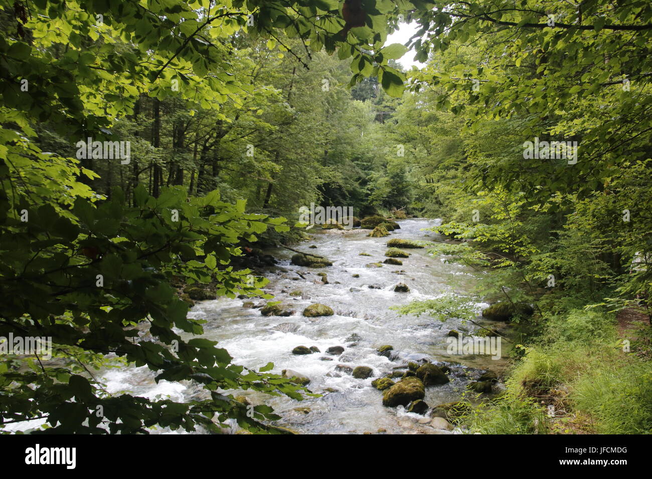 Gunzesrieder ach hi-res stock photography and images - Alamy