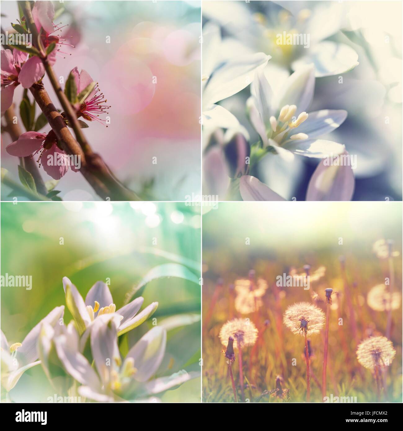 Tree frame collage element hi-res stock photography and images - Alamy