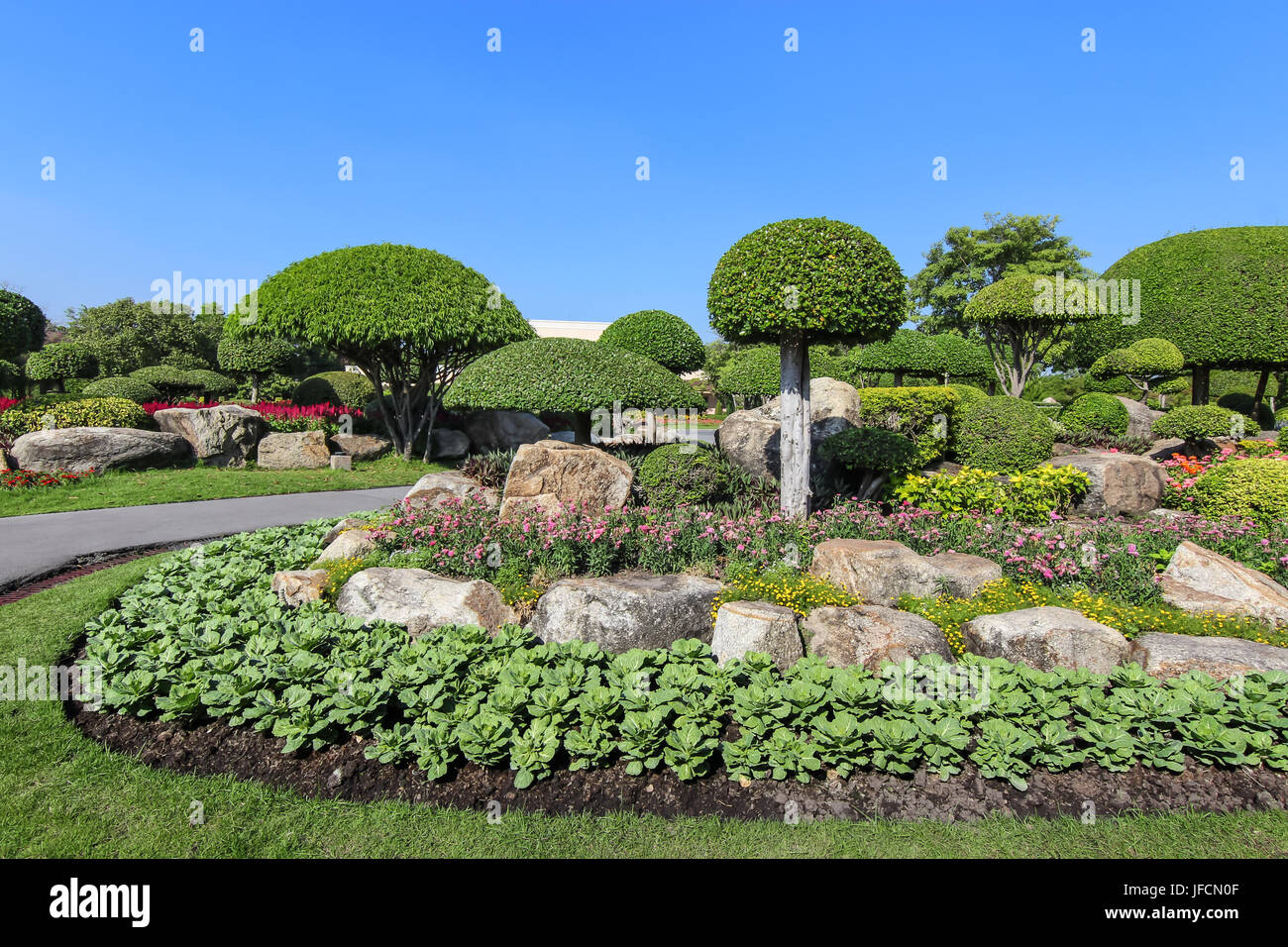 Beautiful dwarf tree in the garden in Thailand Stock Photo - Alamy