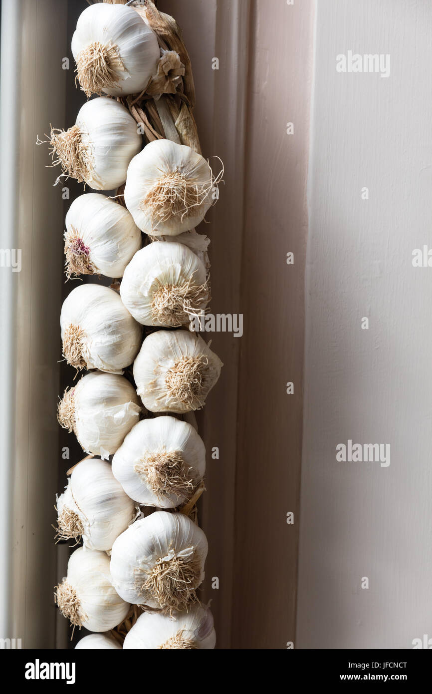 A garlic braid Stock Photo - Alamy