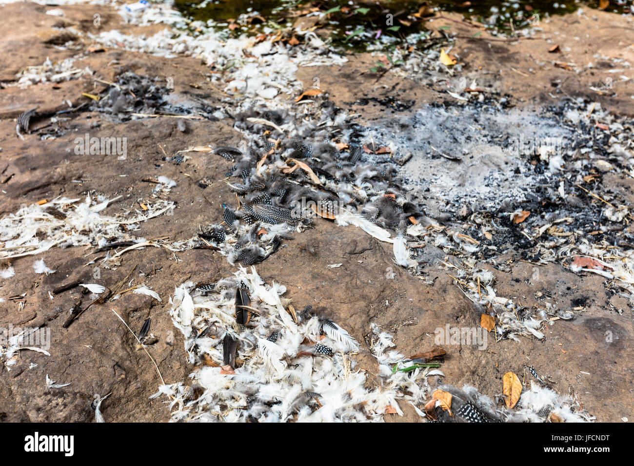 Animist africa hi-res stock photography and images - Alamy