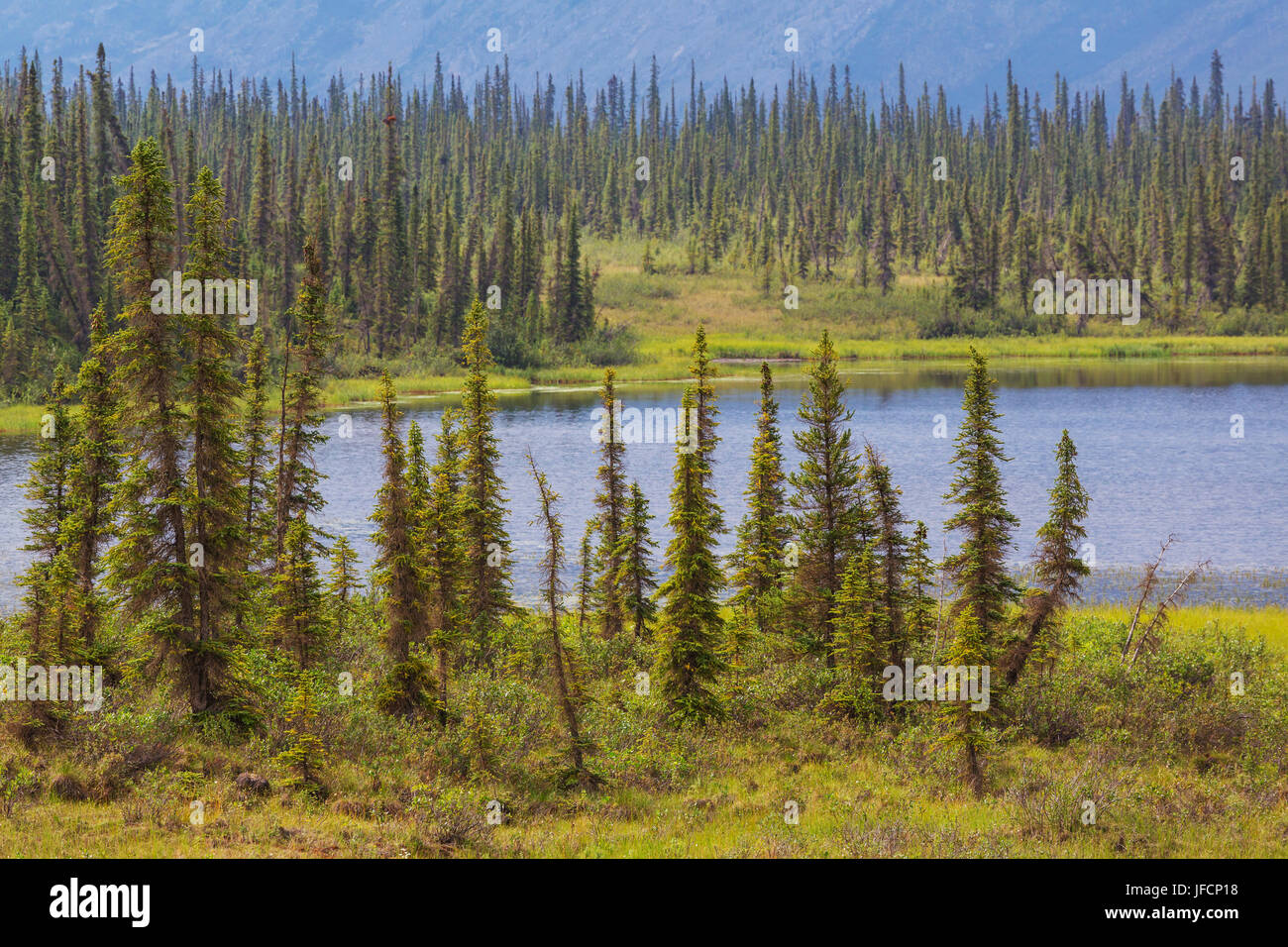 Lake in Alaska Stock Photo - Alamy
