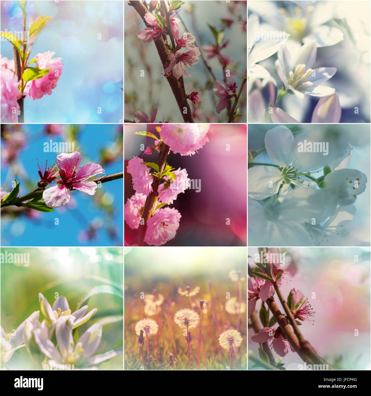 Leaf frame collage element hi-res stock photography and images - Alamy