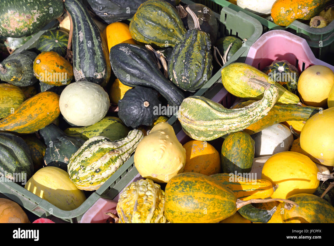 Various gourds hi-res stock photography and images - Alamy