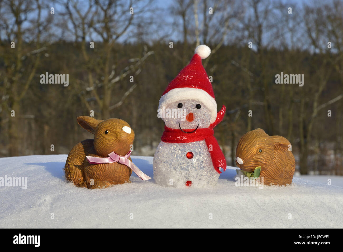 Snow bunnies hi-res stock photography and images - Alamy