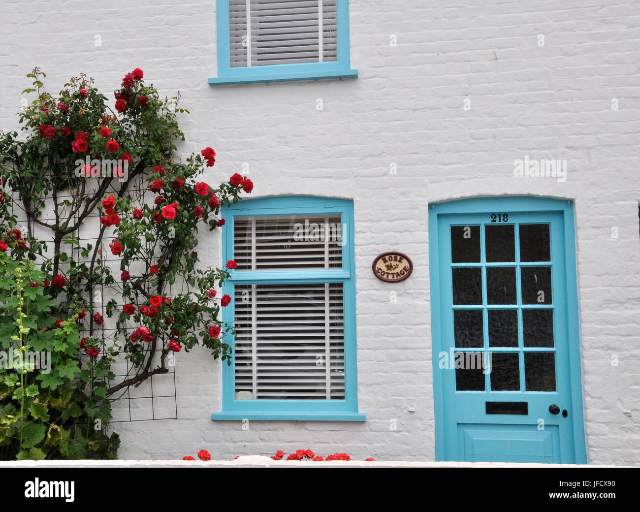 Climbing red rose hi-res stock photography and images - Alamy
