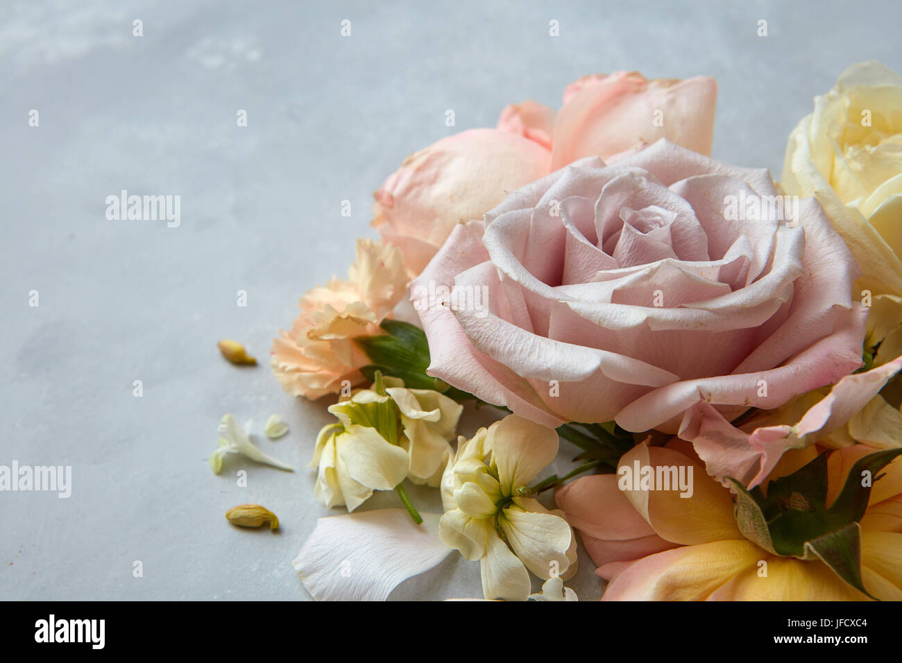 Roses on grey background Stock Photo - Alamy