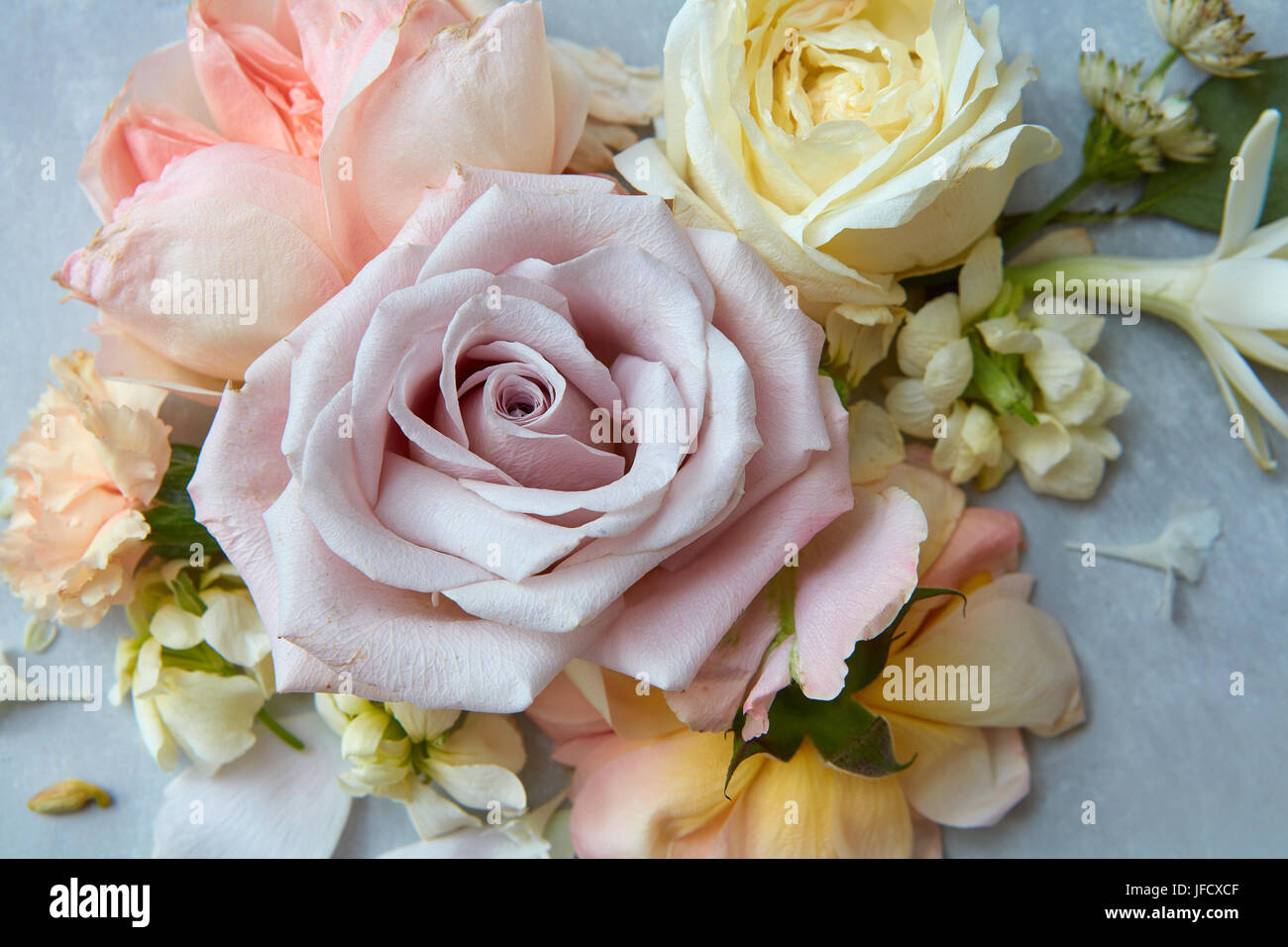 Grey roses hi-res stock photography and images - Alamy