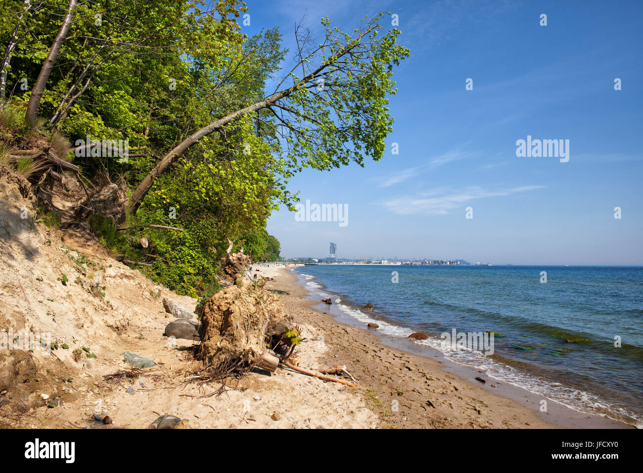 Gdynia in Poland, wild beach at the Baltic Sea, Kepa Redlowska natural ...
