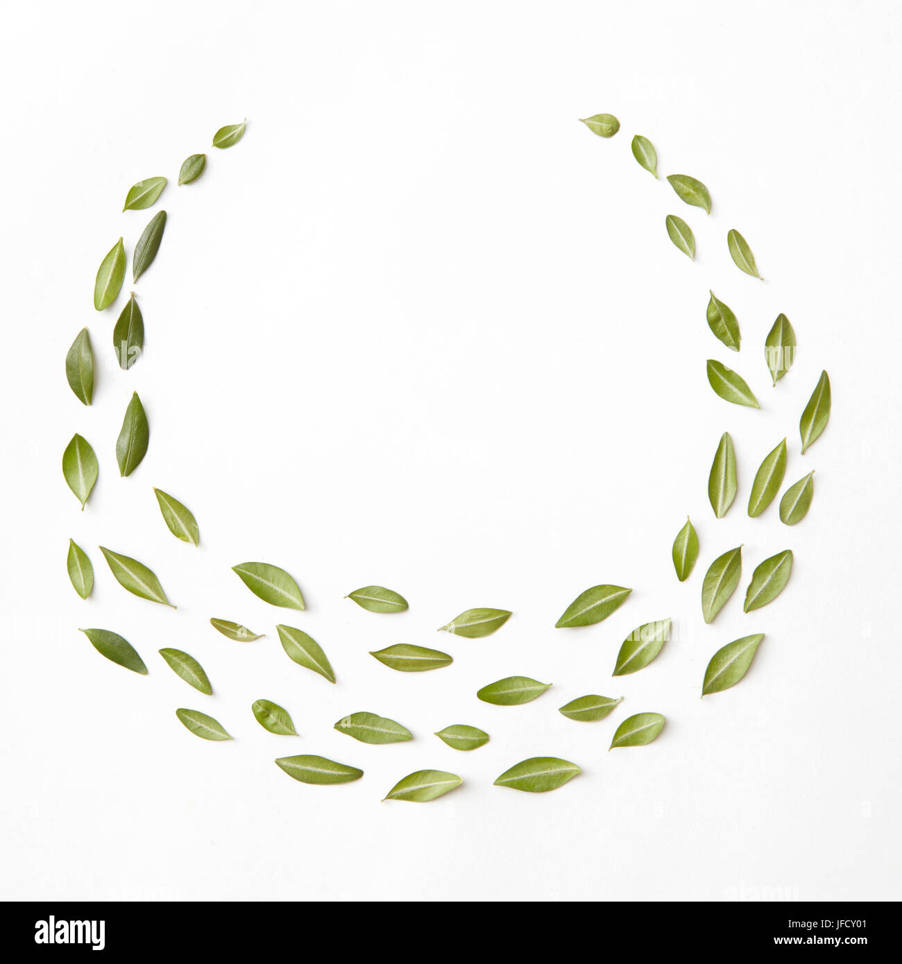 Little leaves hi-res stock photography and images - Alamy