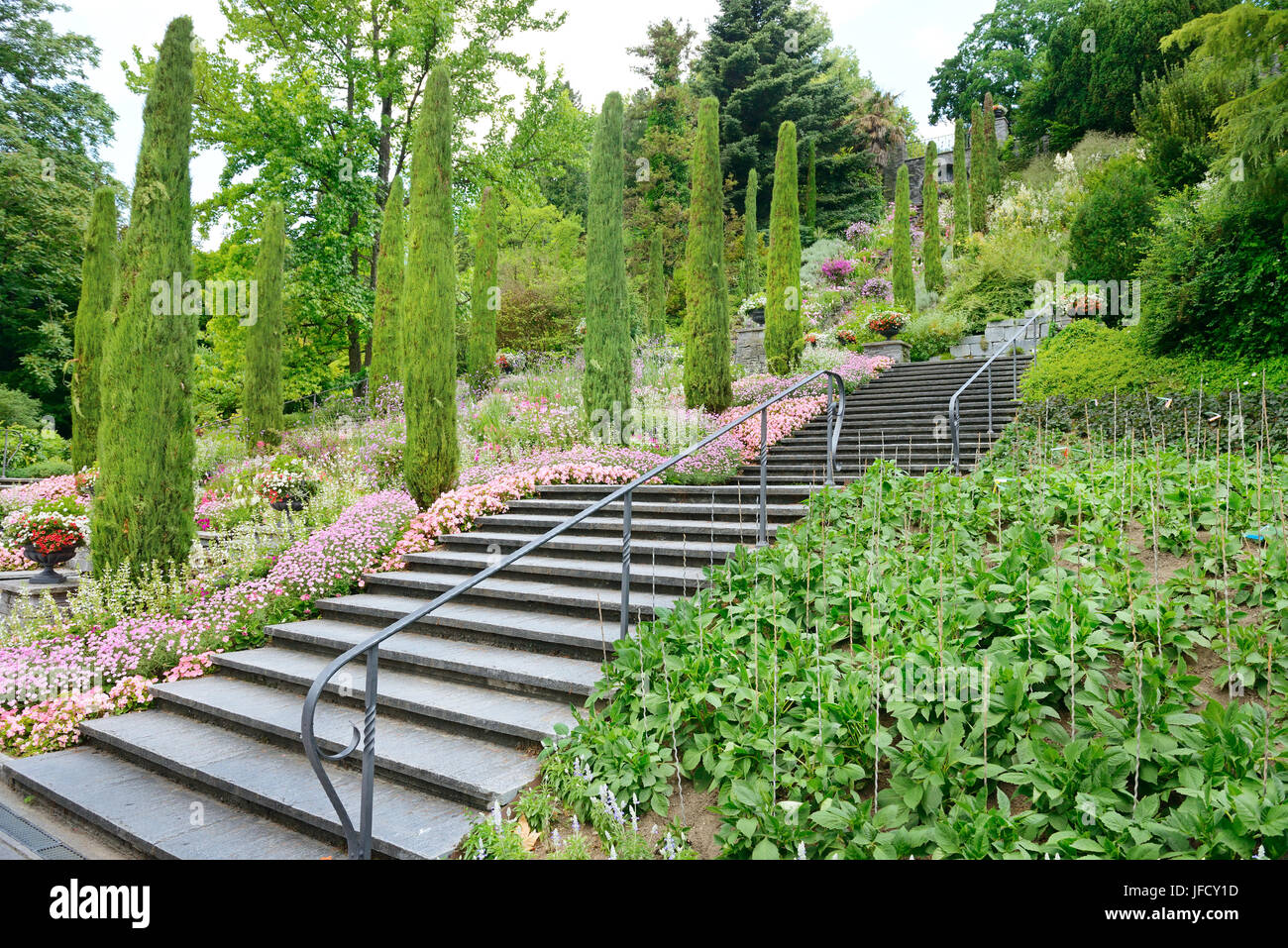 beautiful staircase in a beautiful park Stock Photo - Alamy