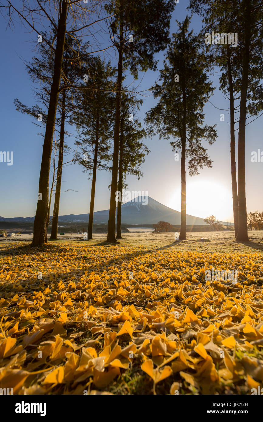 Mount Fuji Sunrise Stock Photo - Alamy