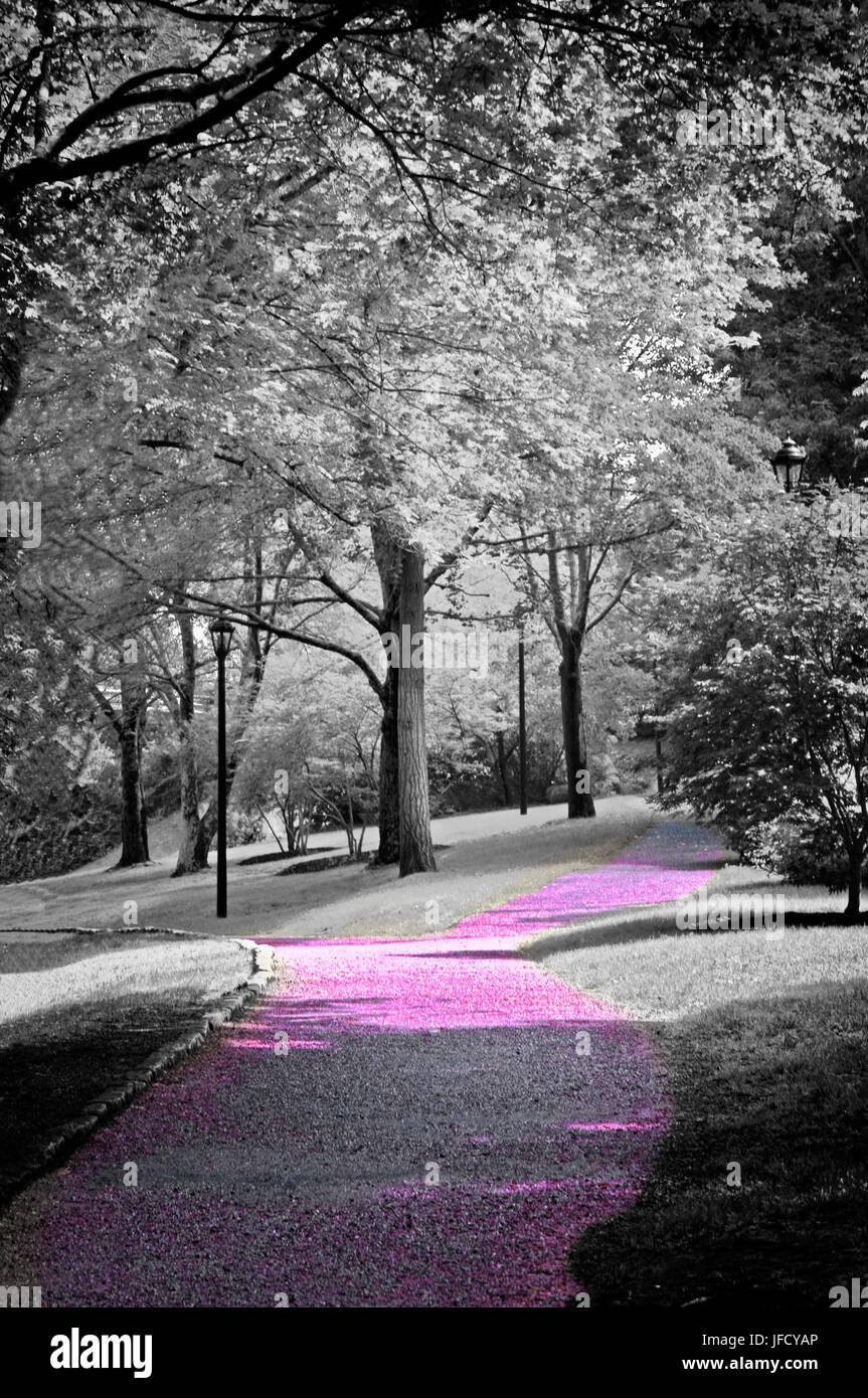 Pathway park hi-res stock photography and images - Alamy