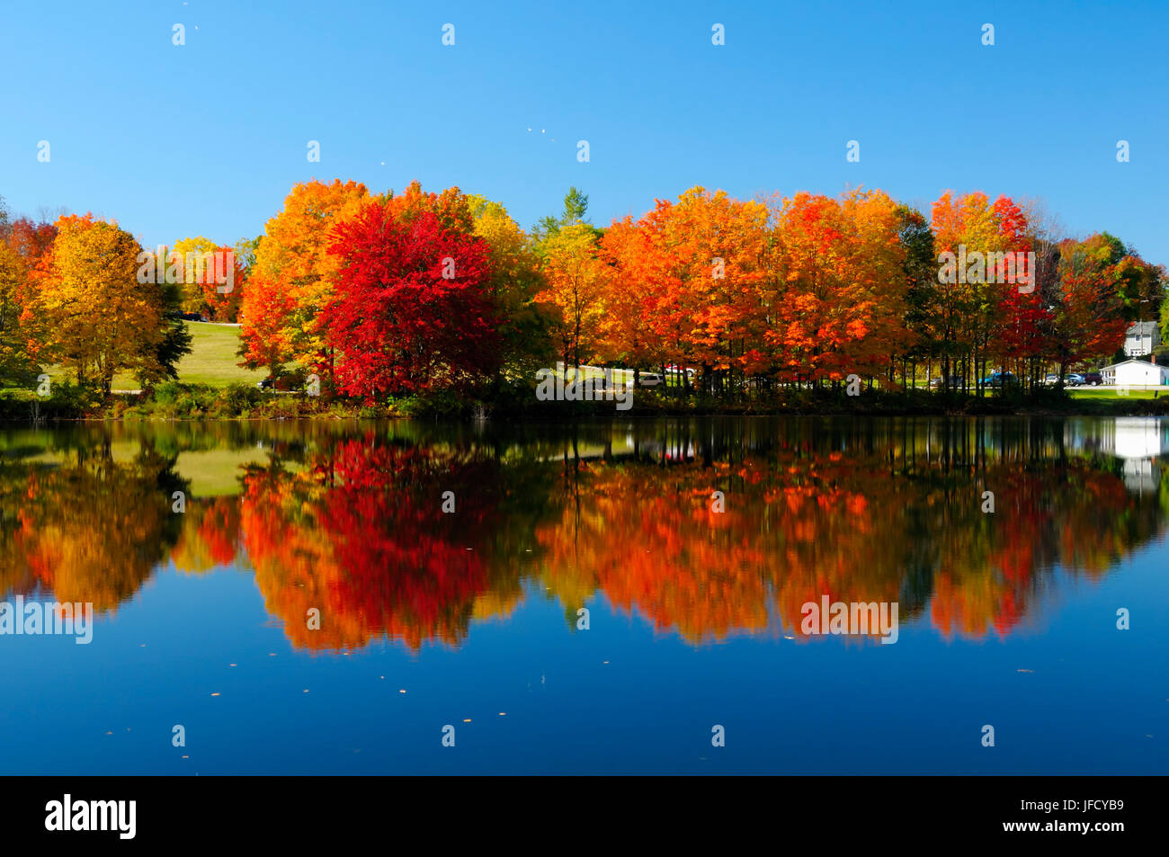 Maple tree fall foliage massachusetts hi-res stock photography and ...