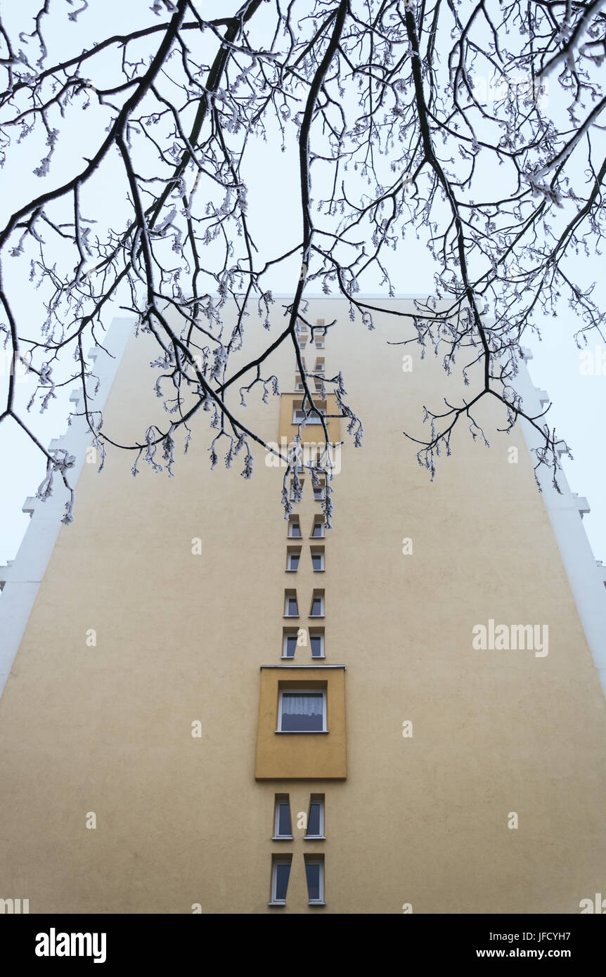 Modern facade tree hi-res stock photography and images - Alamy