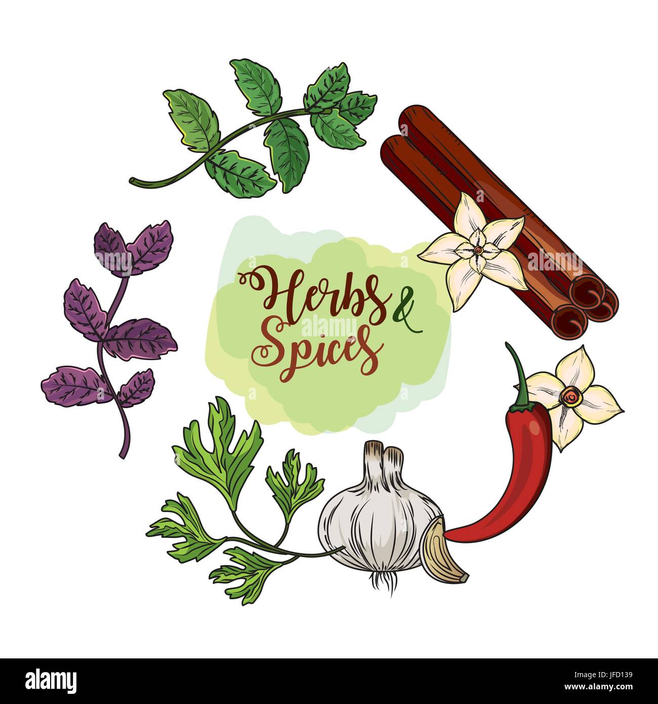 Various medicinal plants Stock Vector Images - Alamy