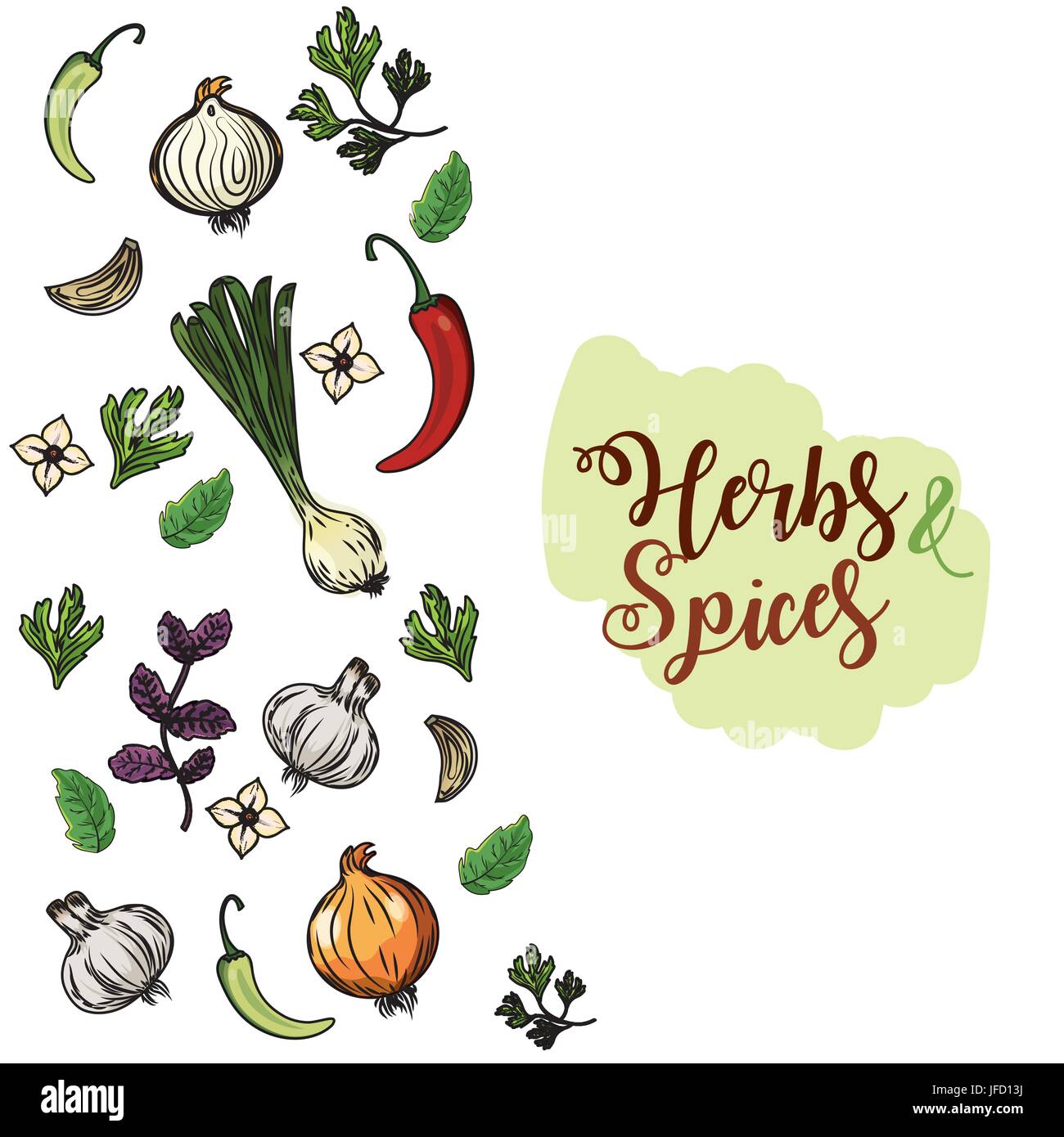 herbs and spices plants and organ food background Stock Vector Image ...