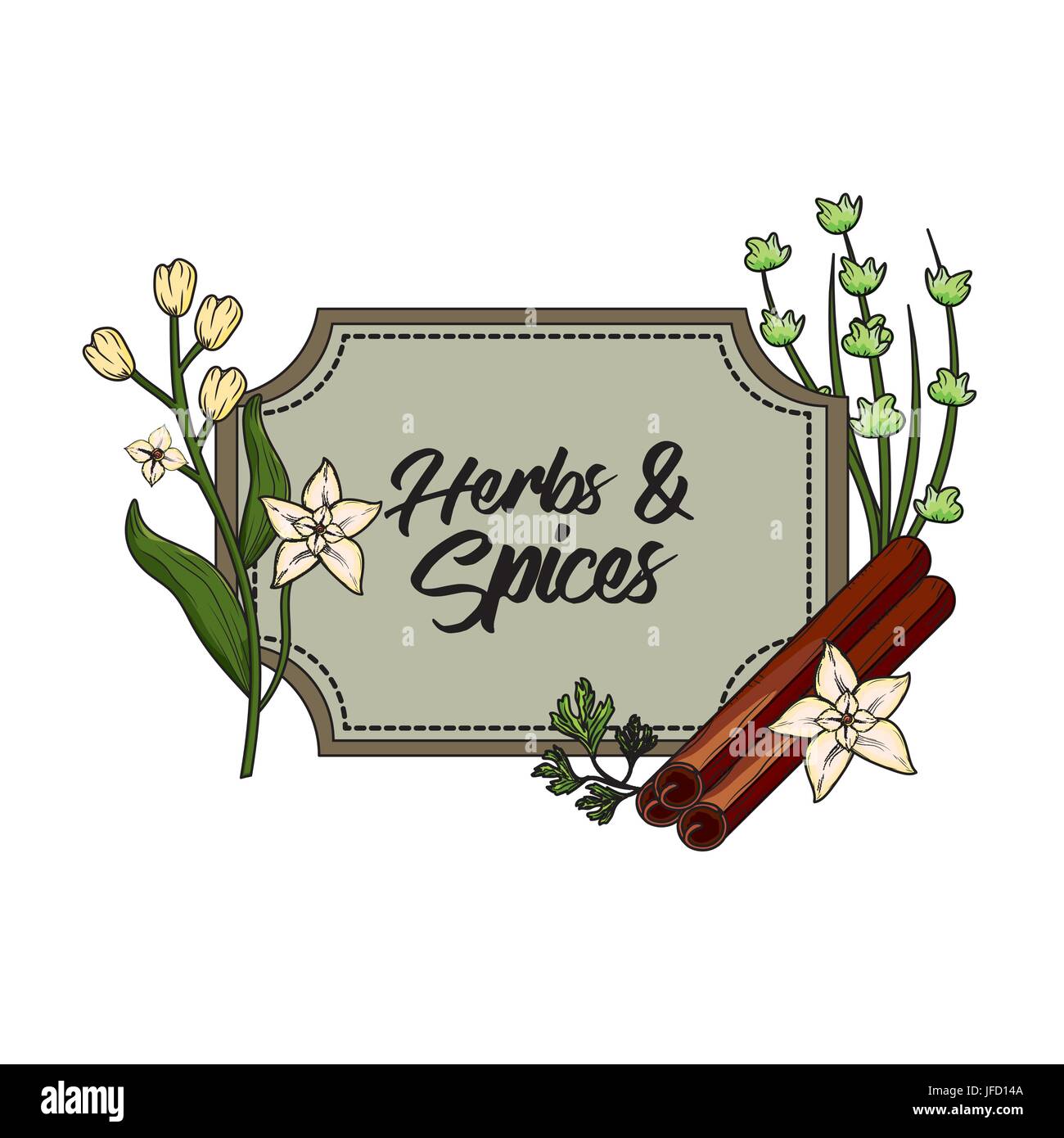 Various medicinal plants Stock Vector Images - Alamy