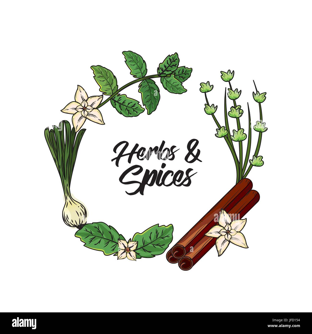 Various medicinal plants Stock Vector Images - Alamy
