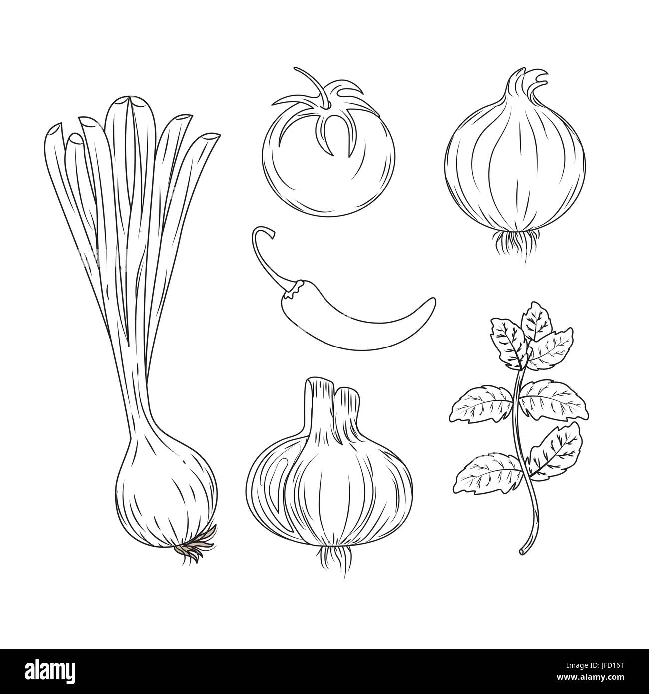 Various medicinal plants Stock Vector Images - Alamy