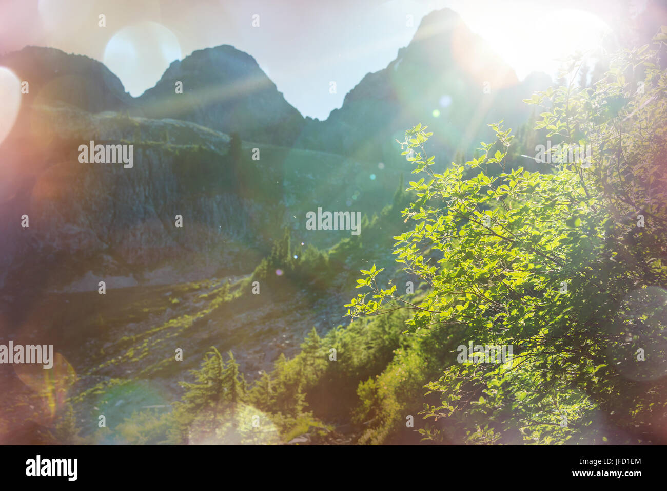 Mt Baker Area Stock Photo - Alamy