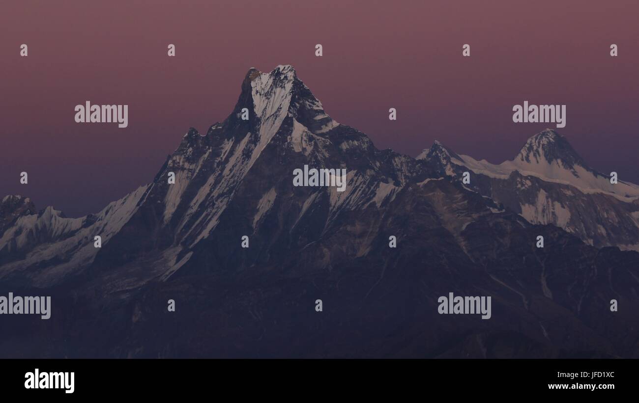 Mount Machapuchare after sunset Stock Photo - Alamy