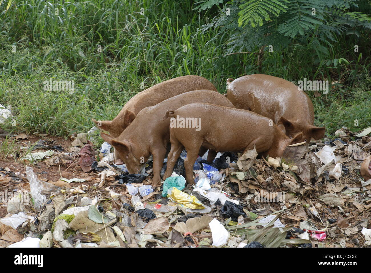 Waste dump hi-res stock photography and images - Alamy