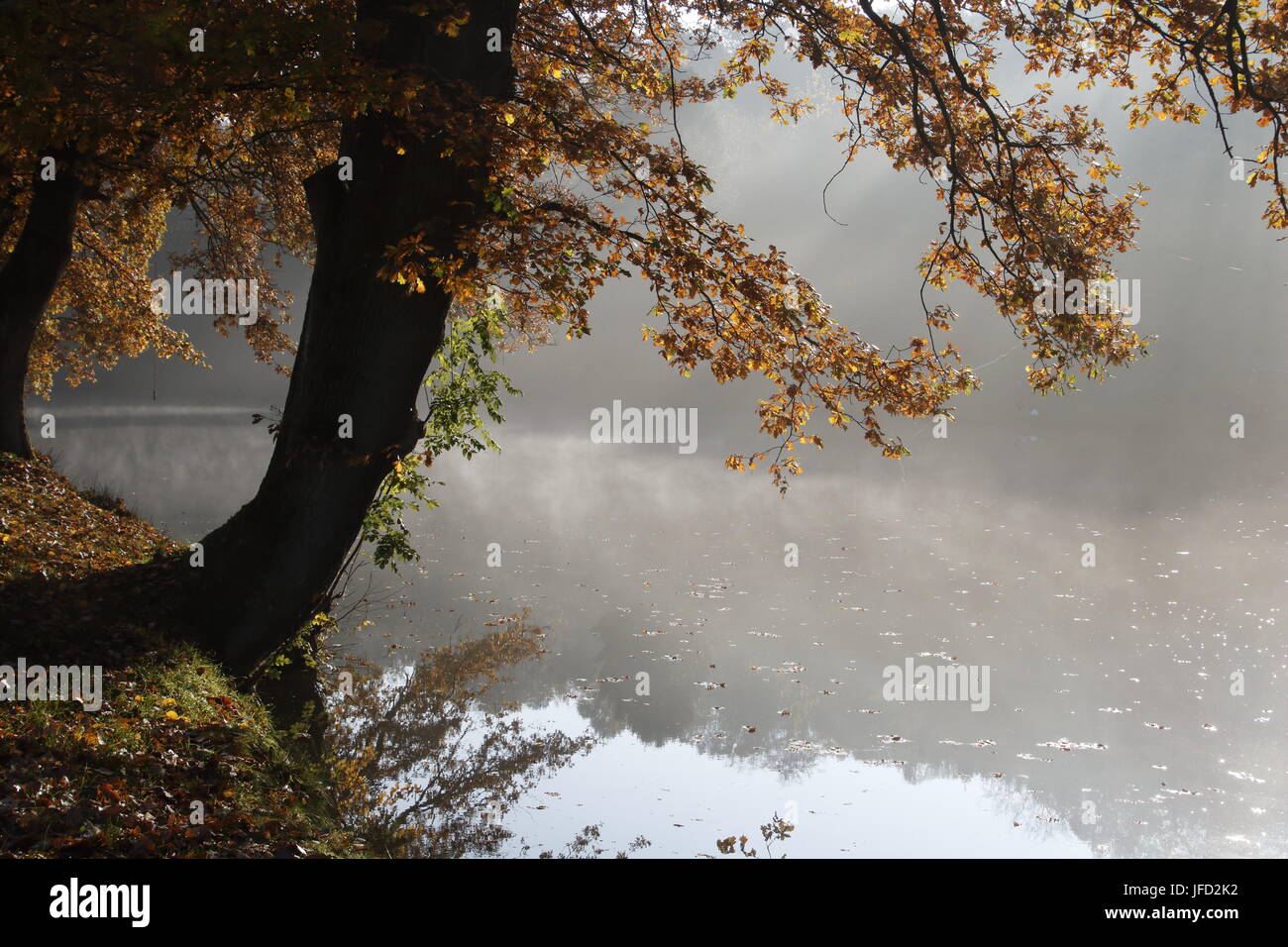 Freudenberg autumn hi-res stock photography and images - Alamy