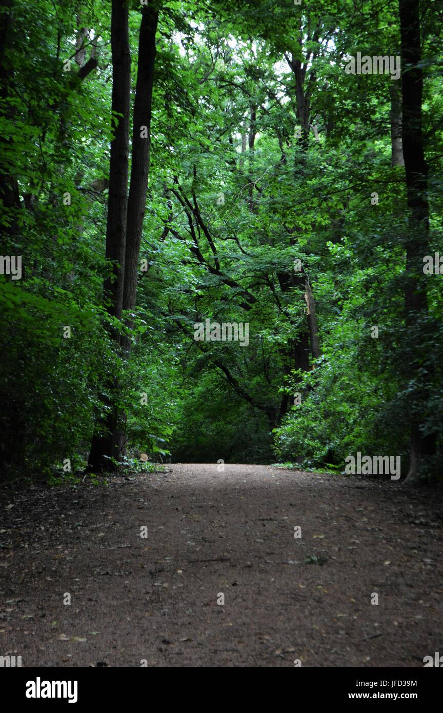 Walkingpath hi-res stock photography and images - Alamy