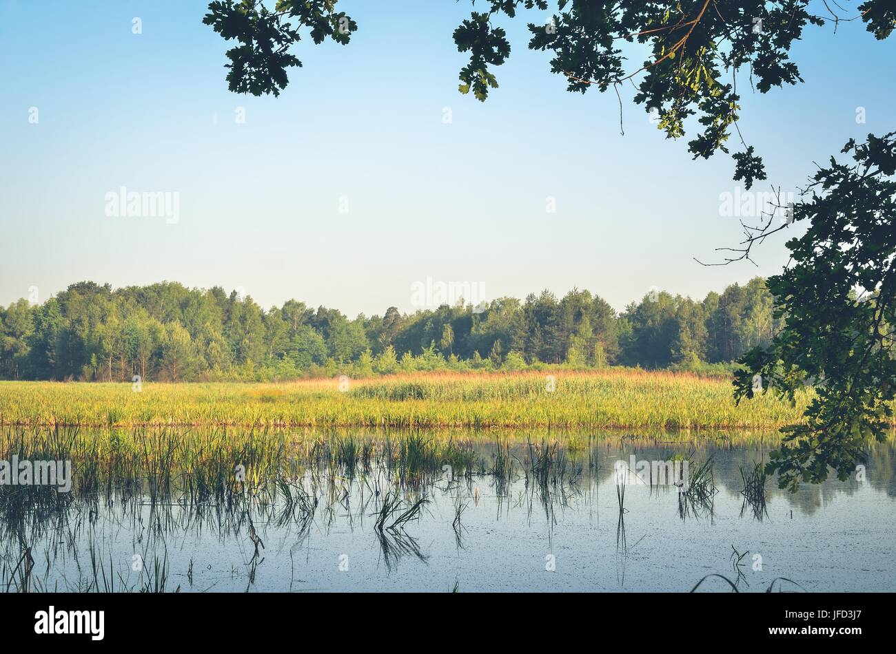Nature pond hi-res stock photography and images - Alamy