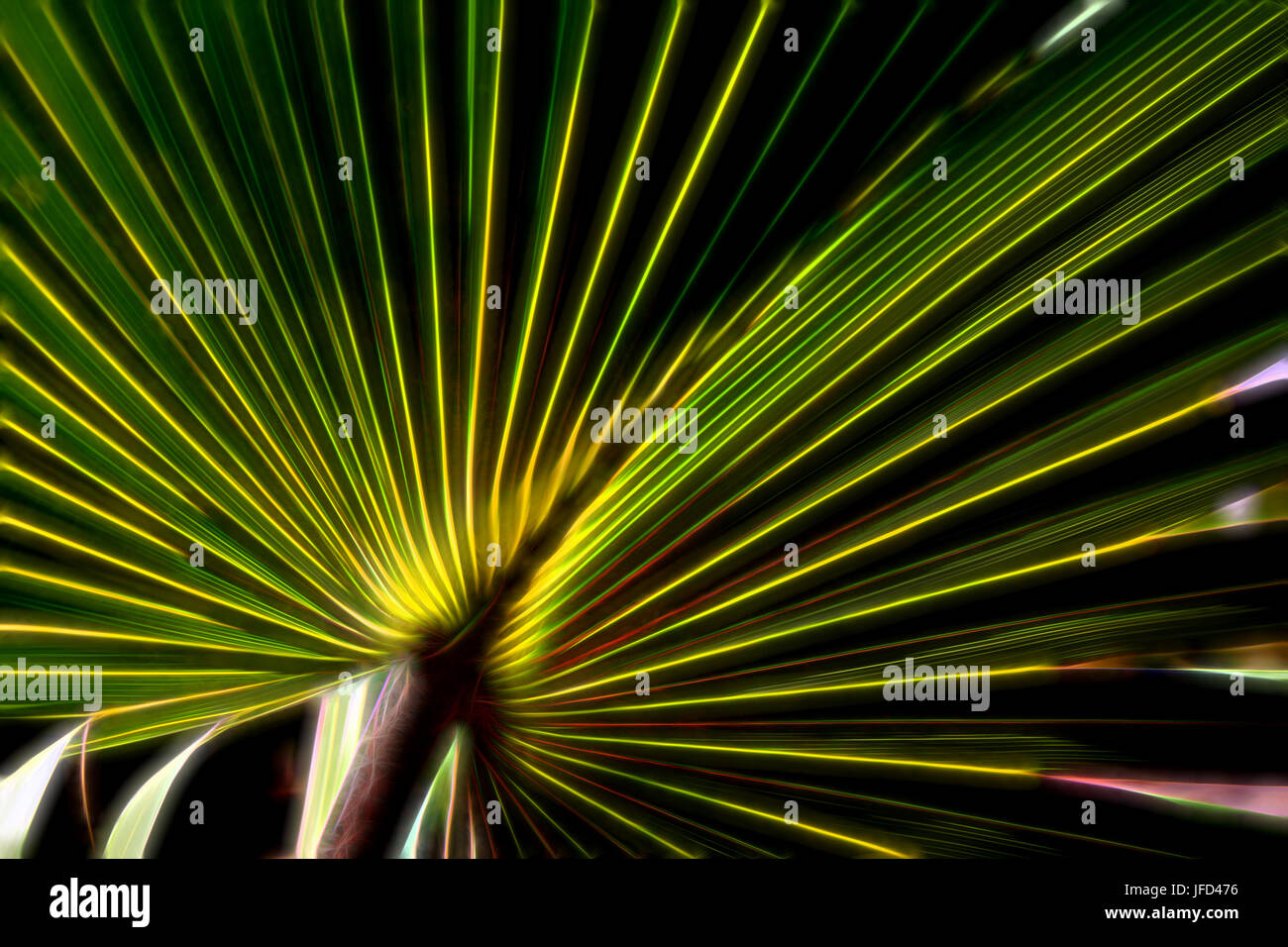 Palmblatt hi-res stock photography and images - Alamy