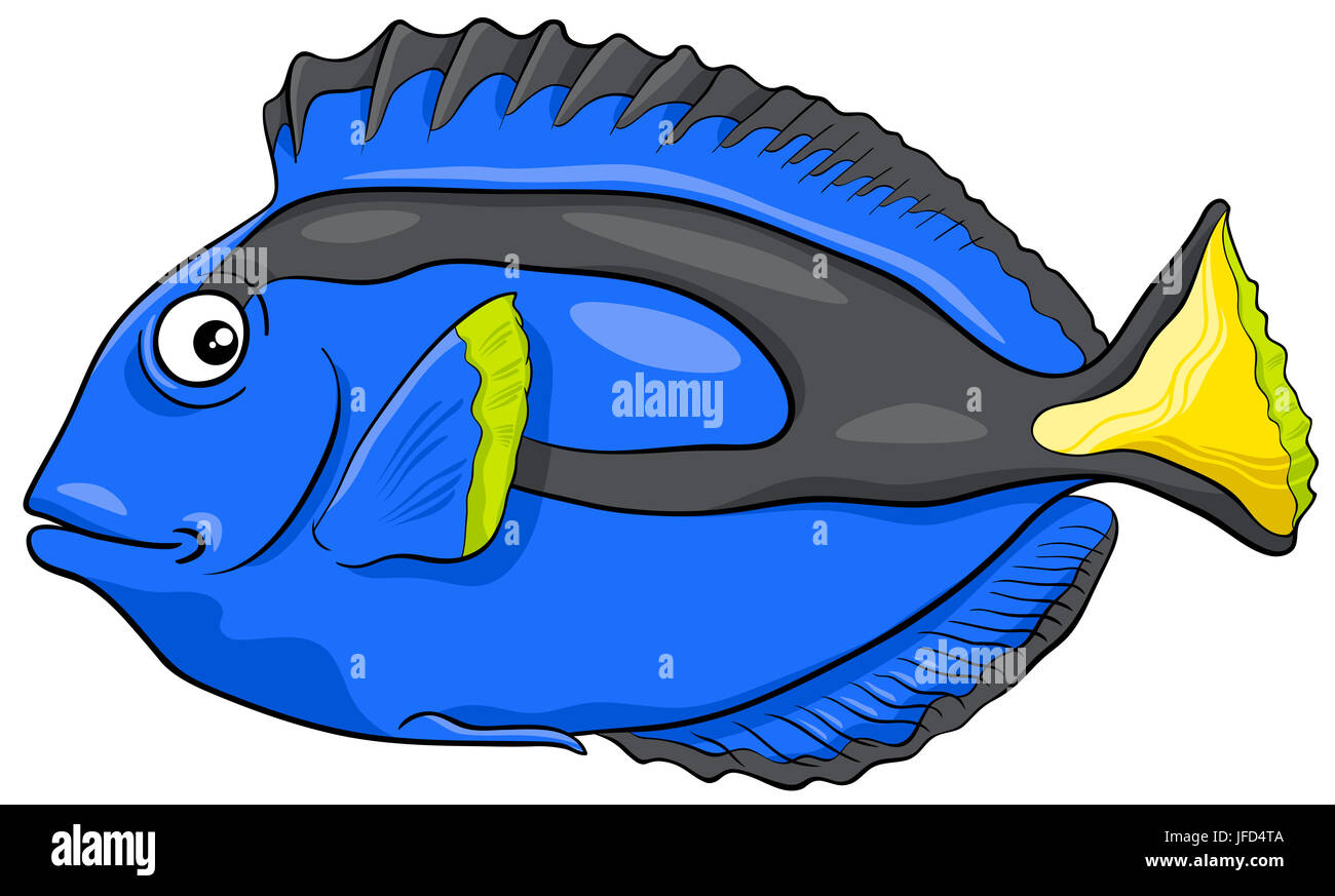 Royal blue tang hi-res stock photography and images - Alamy