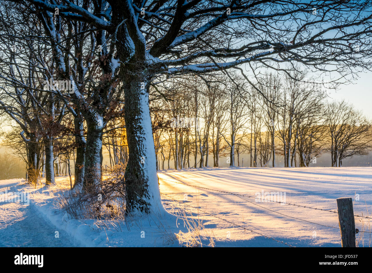 Landscape with snow Stock Photo - Alamy
