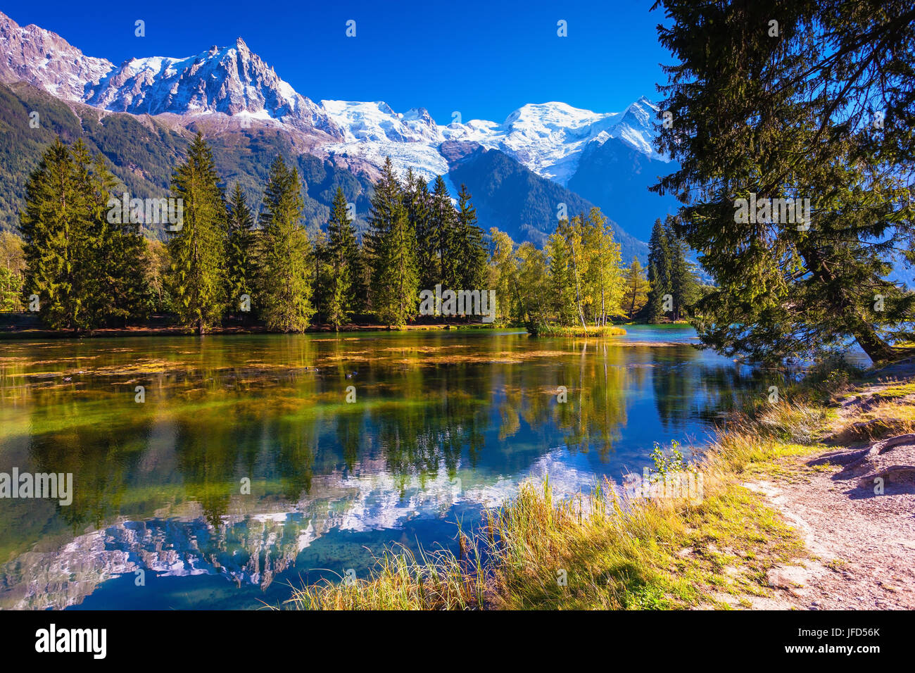 Shamoni hi-res stock photography and images - Alamy