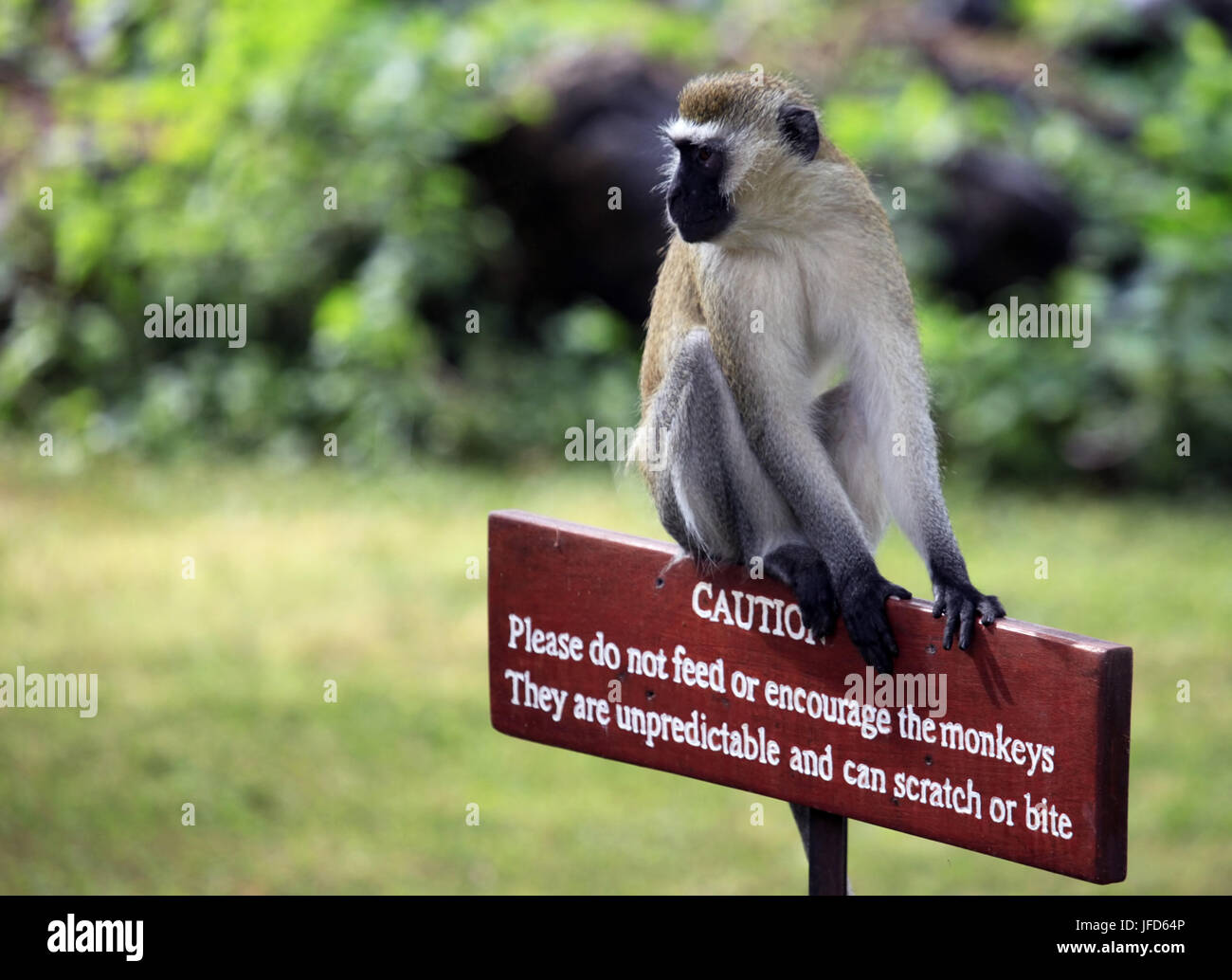Masai mara sign hi-res stock photography and images - Alamy