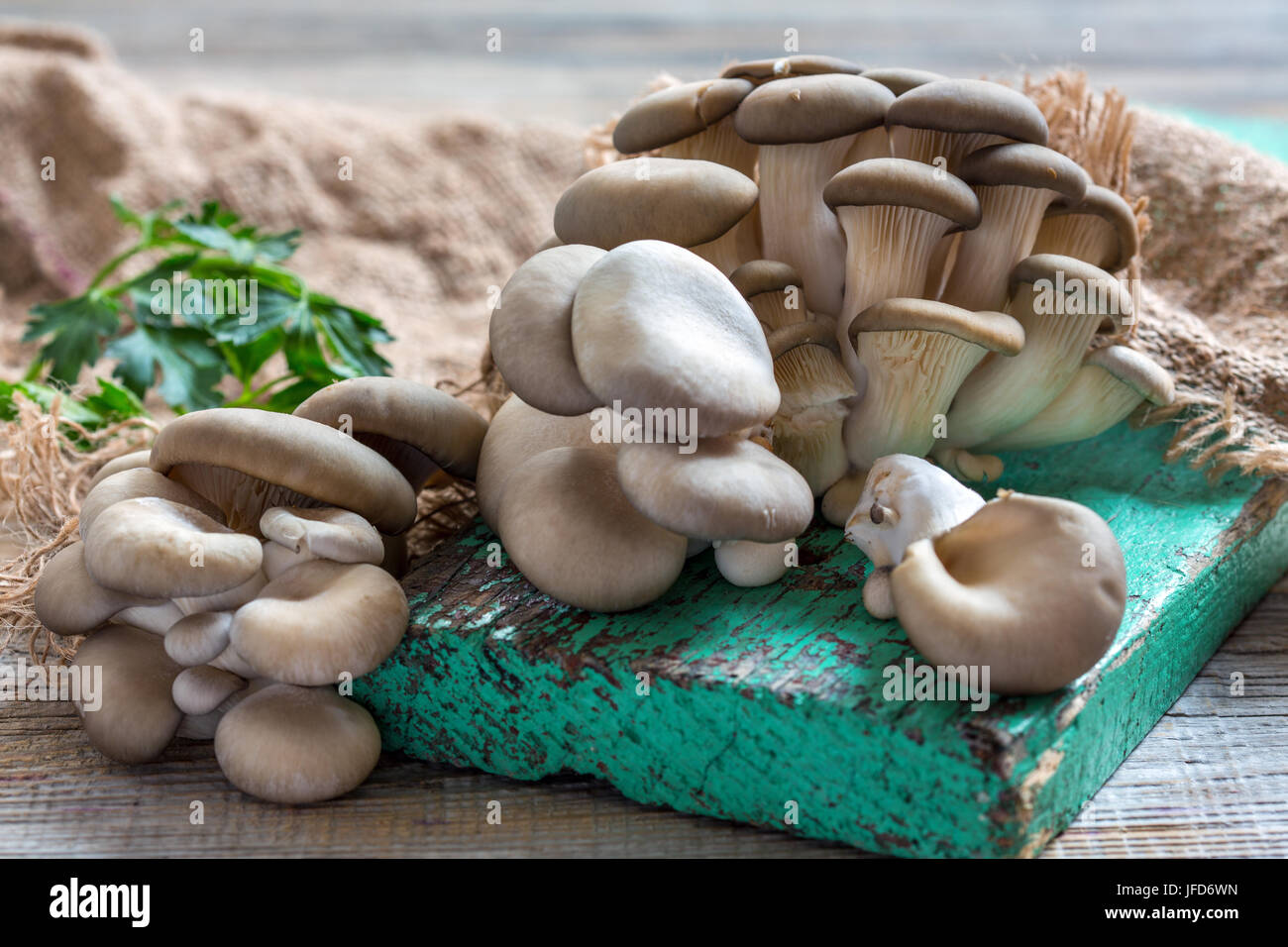 Organic oyster mushrooms hi-res stock photography and images - Alamy