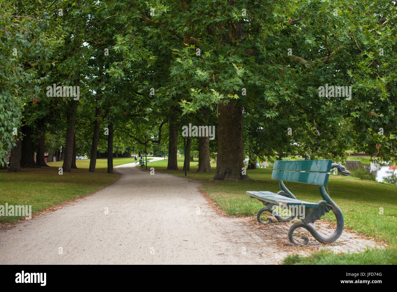 Bench in the park benches Stock Photo - Alamy