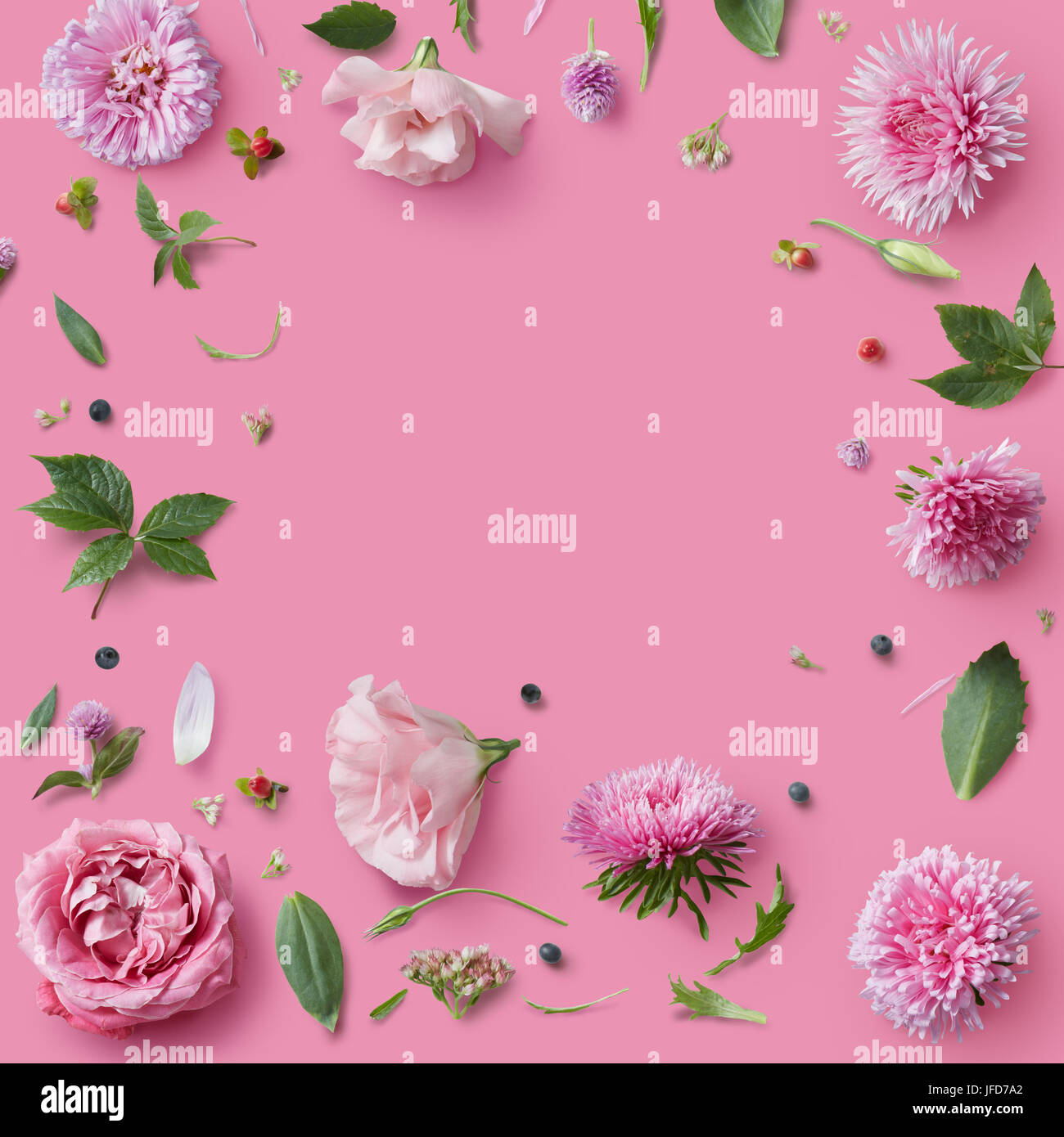 Pink flowers frame Stock Photo - Alamy