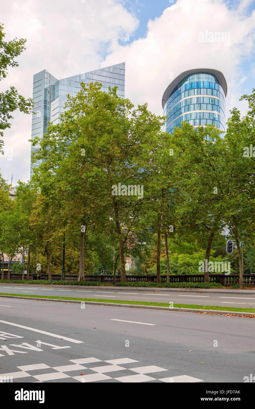 Long row of trees along a pathway Stock Photo - Alamy